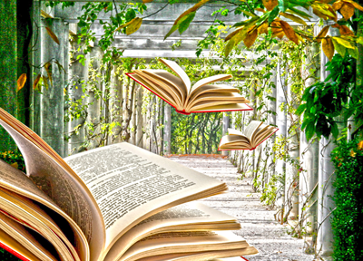 Events calendar - Glen Eira Libraries | Glen Eira Library