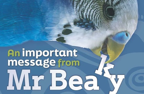 Home | Glen Eira Library