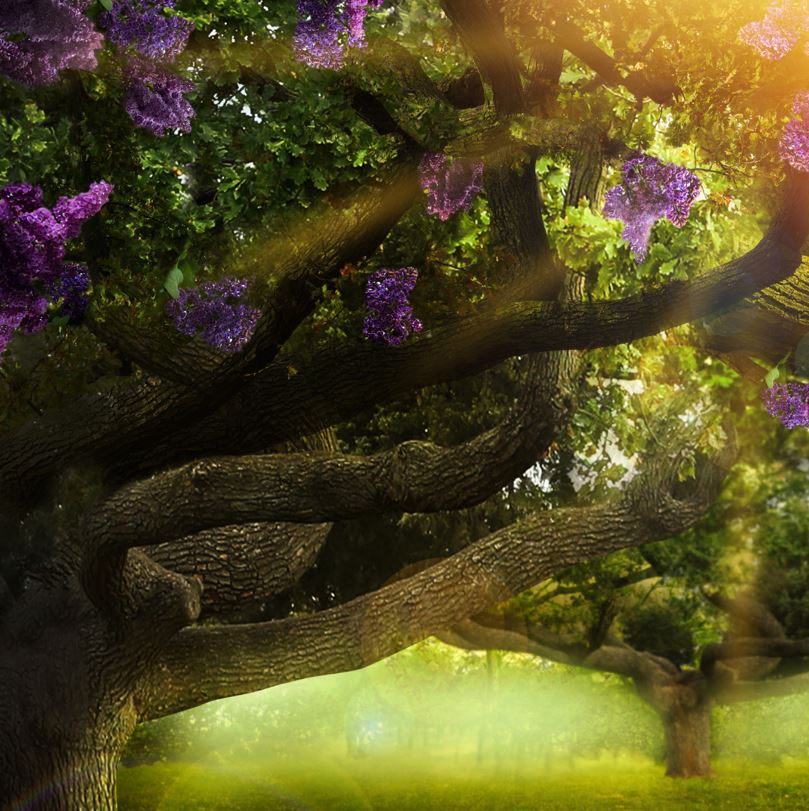 Holiday Mania | Glen Eira Library